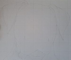 How to Draw a Dog Head (Realistic Front View) | Muus Art