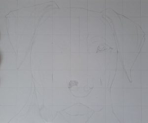 How to Draw a Dog Head (Realistic Front View) | Muus Art