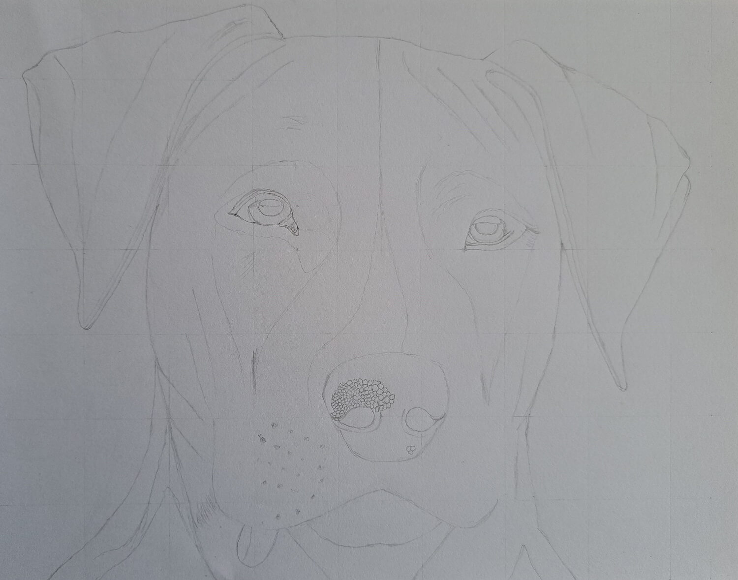 How to Draw a Dog Head (Realistic Front View) | Muus Art