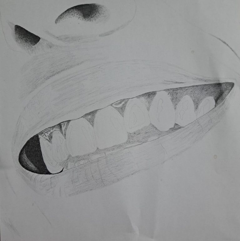 How to Draw a Smile with Teeth for Beginners | Muus Art