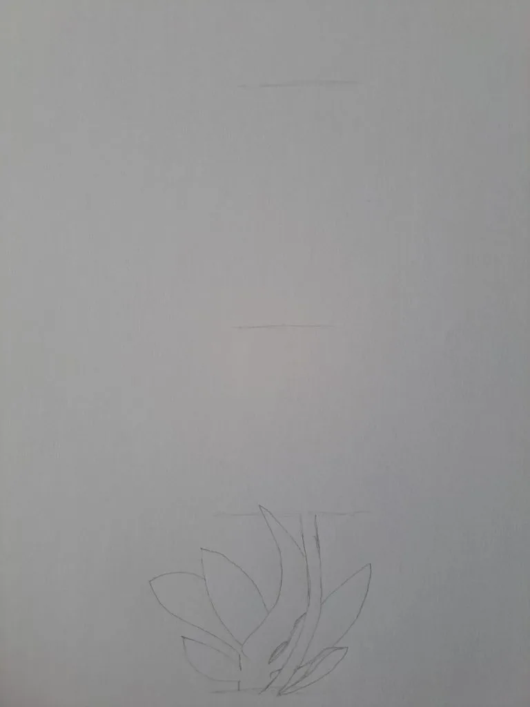 A Step by Step Guide on How to Draw an Orchid | Muus Art