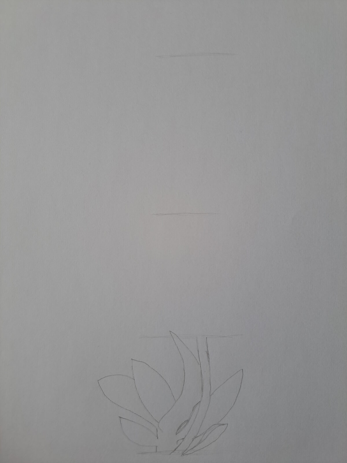 A Step by Step Guide on How to Draw an Orchid | Muus Art