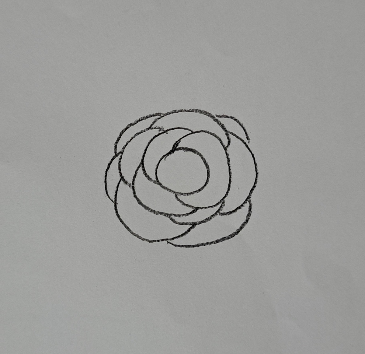 How to Draw a Rose in 7 Easy Steps | Muus Art