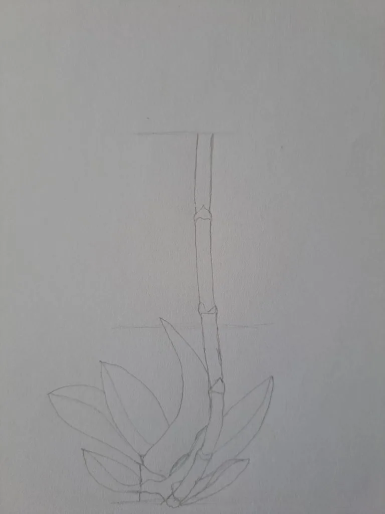 A Step by Step Guide on How to Draw an Orchid | Muus Art