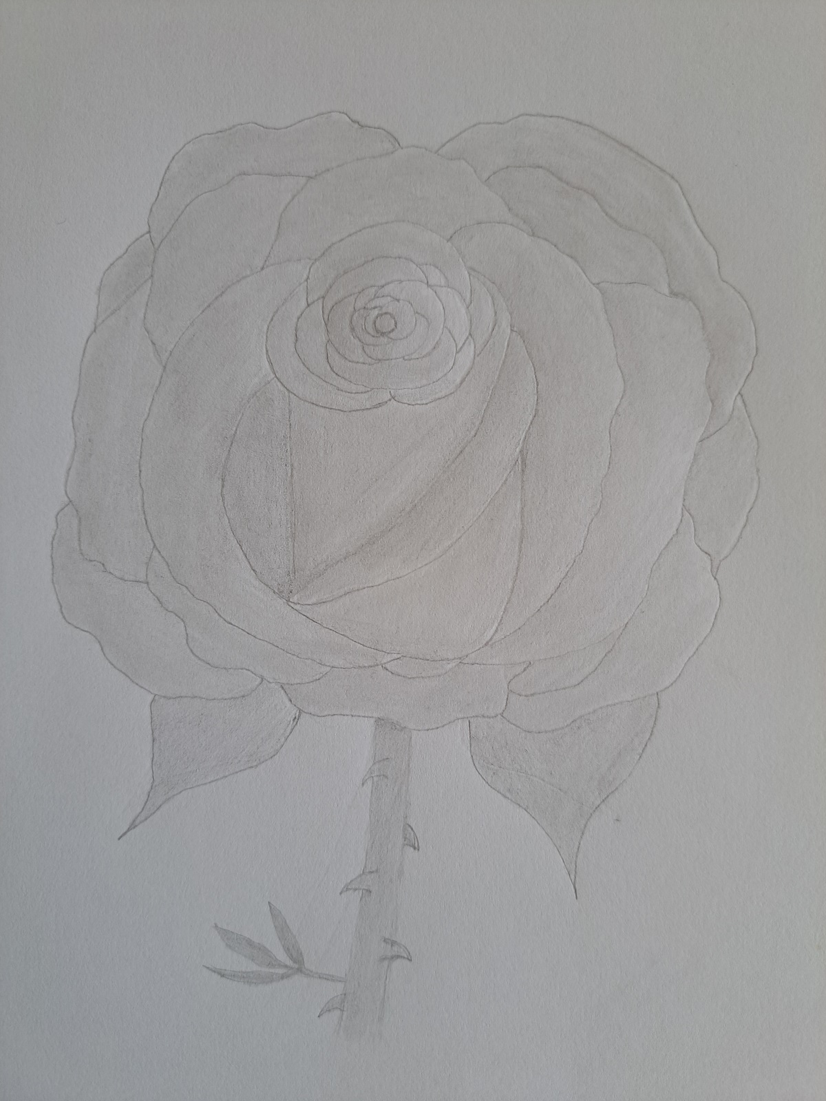 How to Draw a Rose in 7 Easy Steps | Muus Art