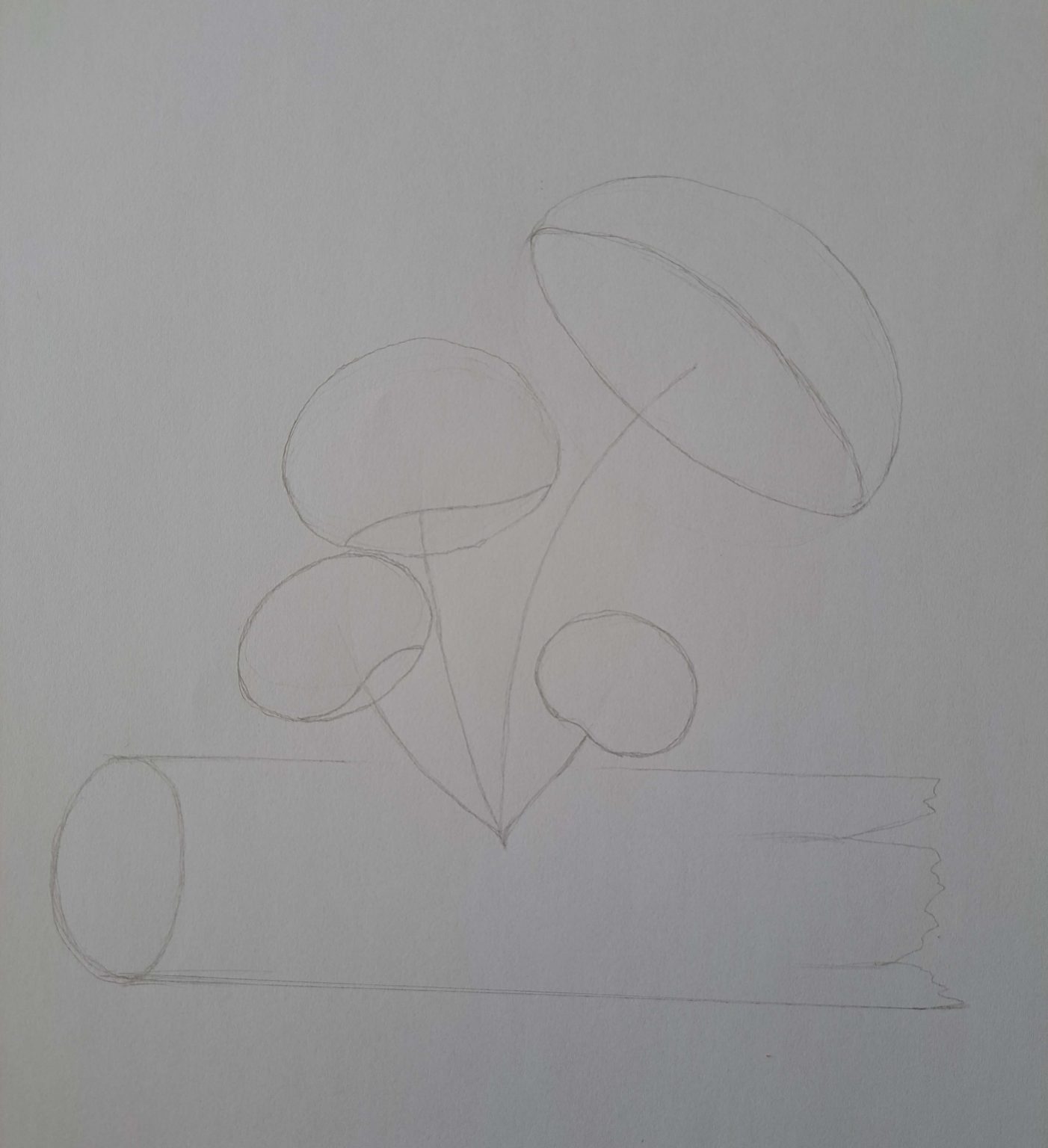 An Easy Guide on How to Draw Mushrooms | Muus Art