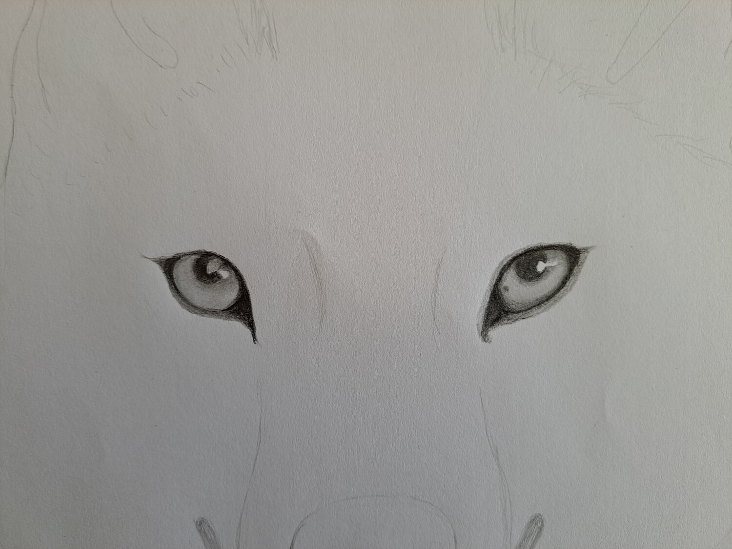 Realistic Wolf Drawing: How to Draw a Wolf Head Easily | Muus Art