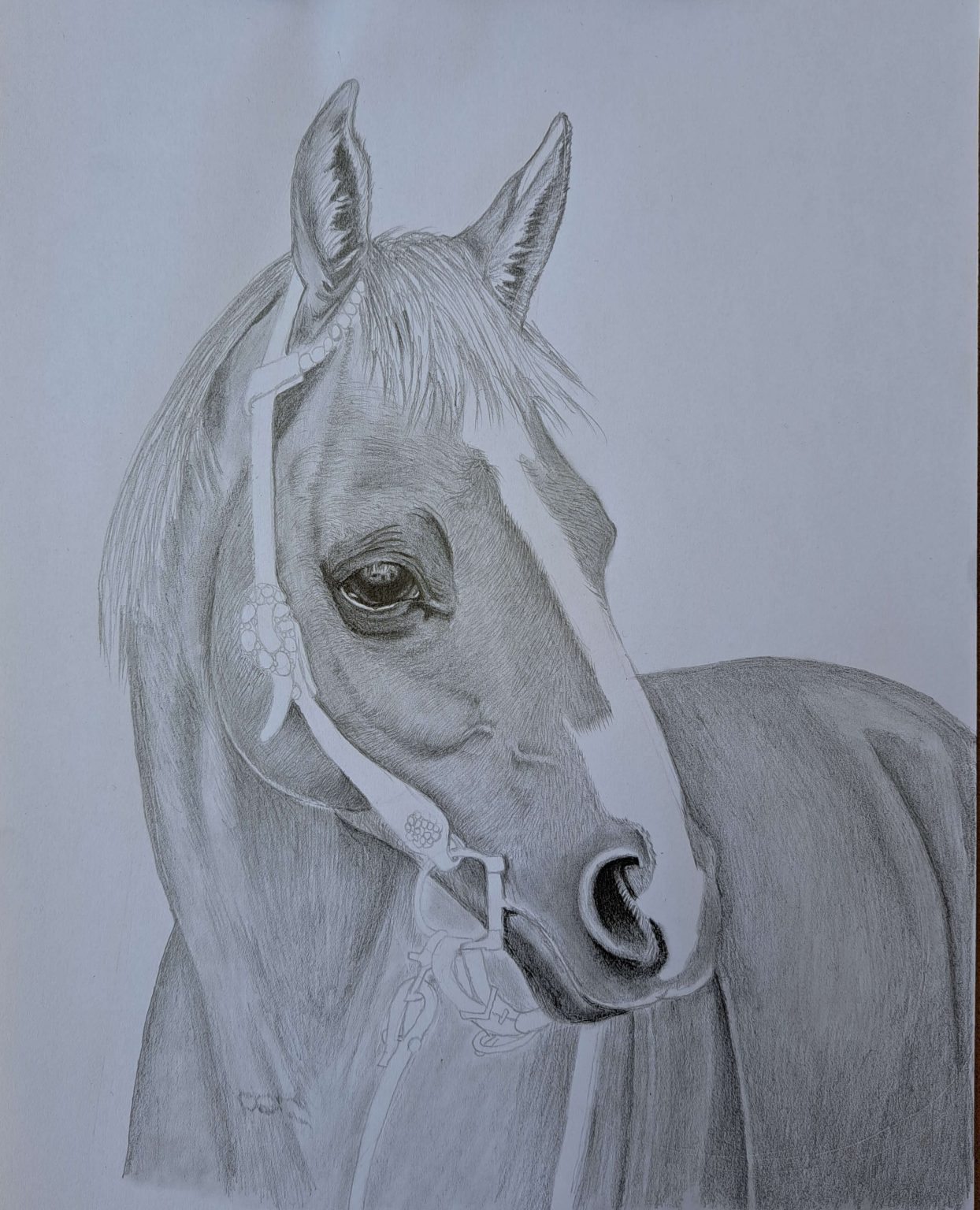 Realistic Horse Drawing: How to Draw a Horse for Beginners | Muus Art