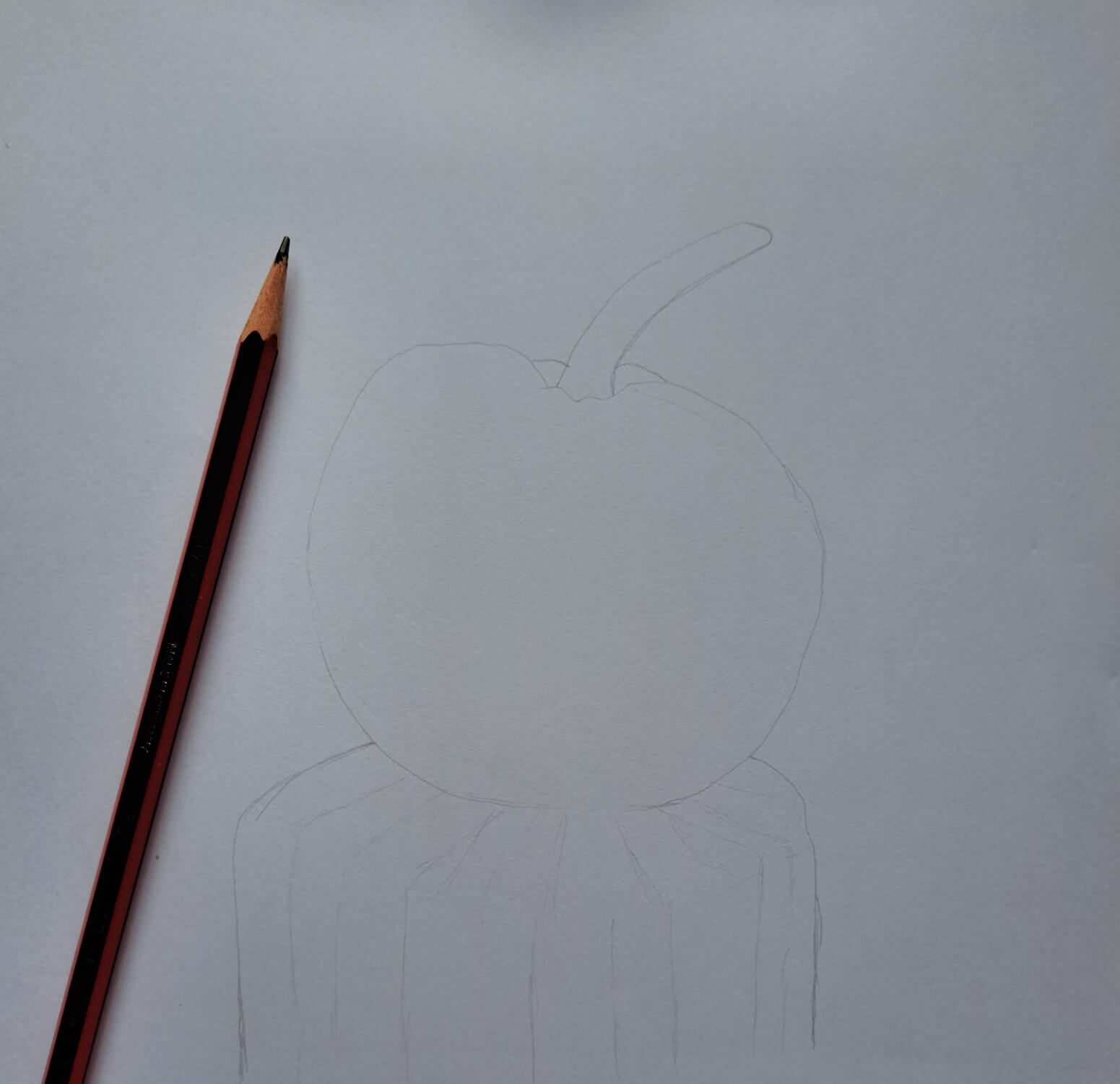 Realistic Pumpkin Drawing: How to Draw a Pumpkin | Muus Art