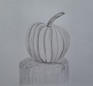 Realistic Pumpkin Drawing: How to Draw a Pumpkin | Muus Art