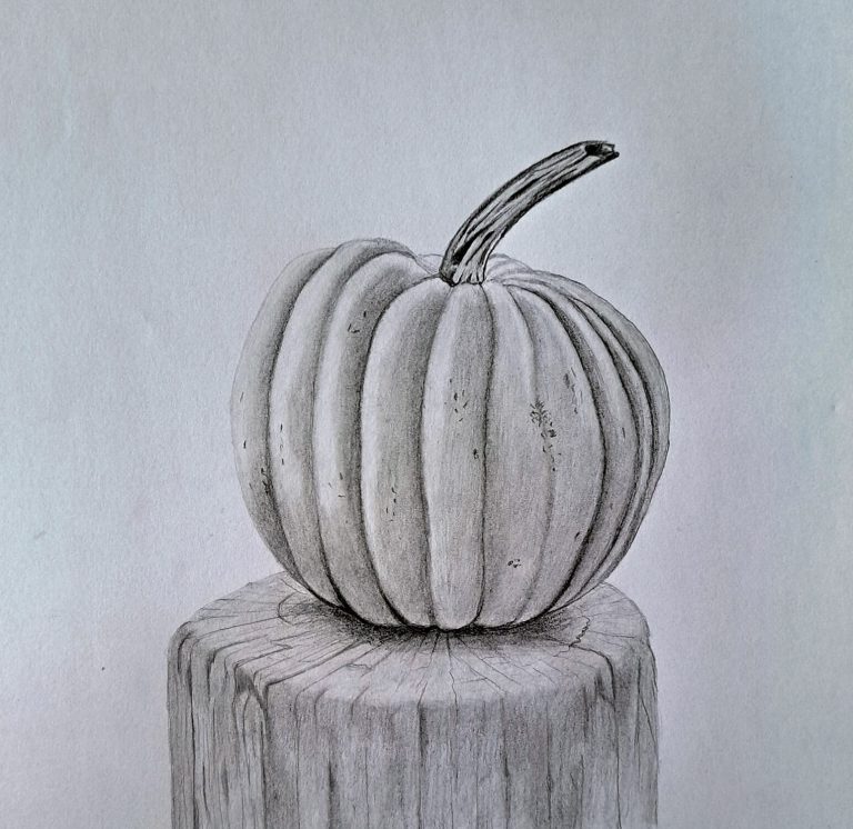 Realistic Pumpkin Drawing: How to Draw a Pumpkin | Muus Art