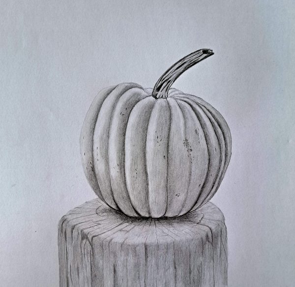 Realistic Pumpkin Drawing: How to Draw a Pumpkin | Muus Art