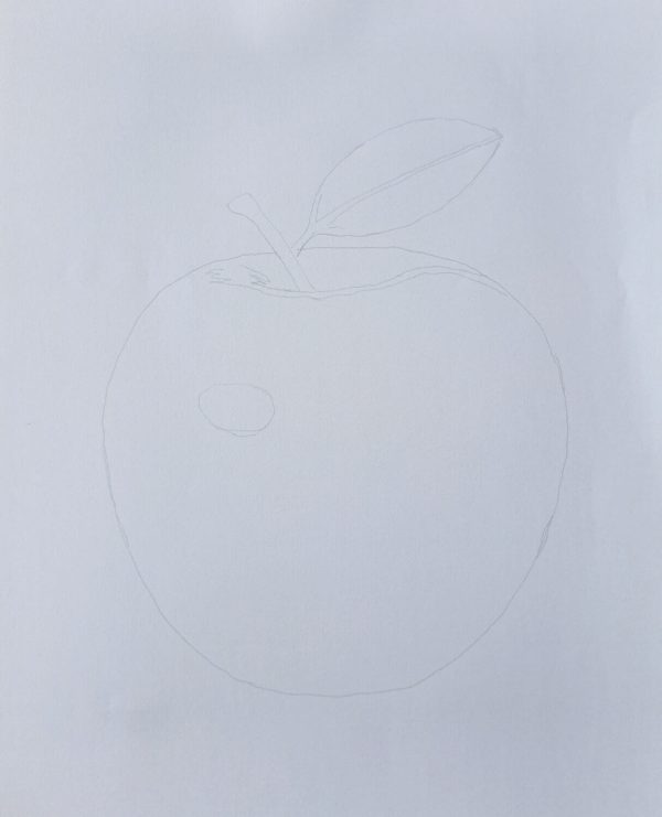 6 Simple Steps on How to Draw an Apple Realistically | Muus Art