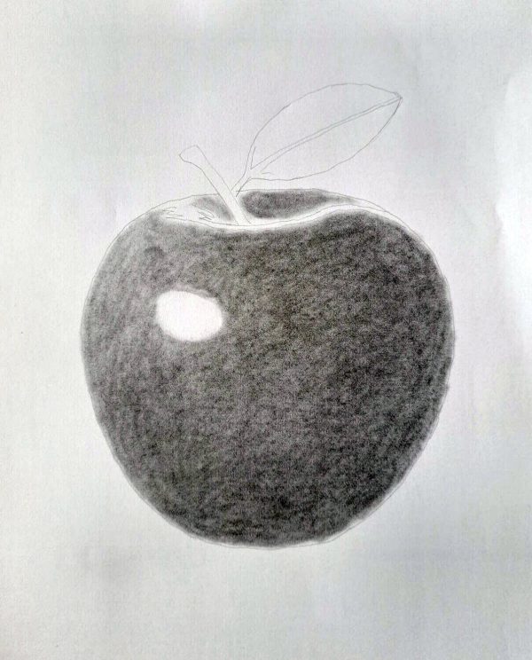 6 Simple Steps on How to Draw an Apple Realistically | Muus Art