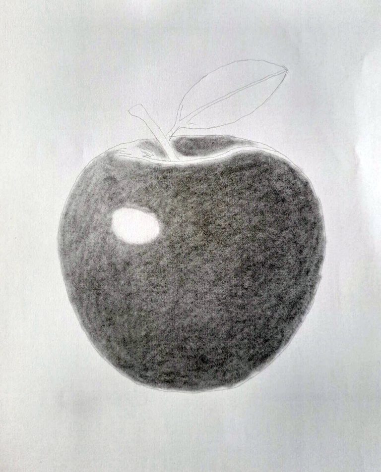 6 Simple Steps on How to Draw an Apple Realistically | Muus Art