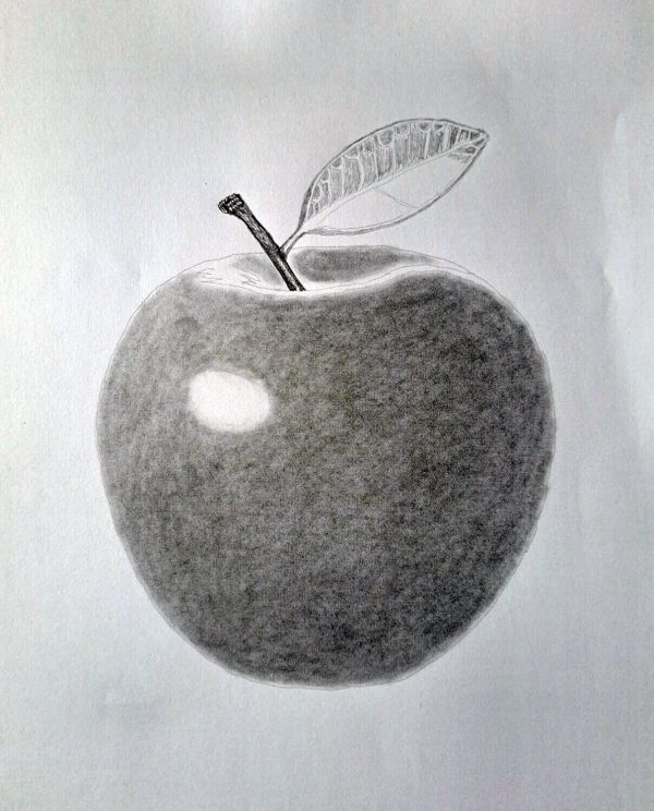 6 Simple Steps on How to Draw an Apple Realistically | Muus Art