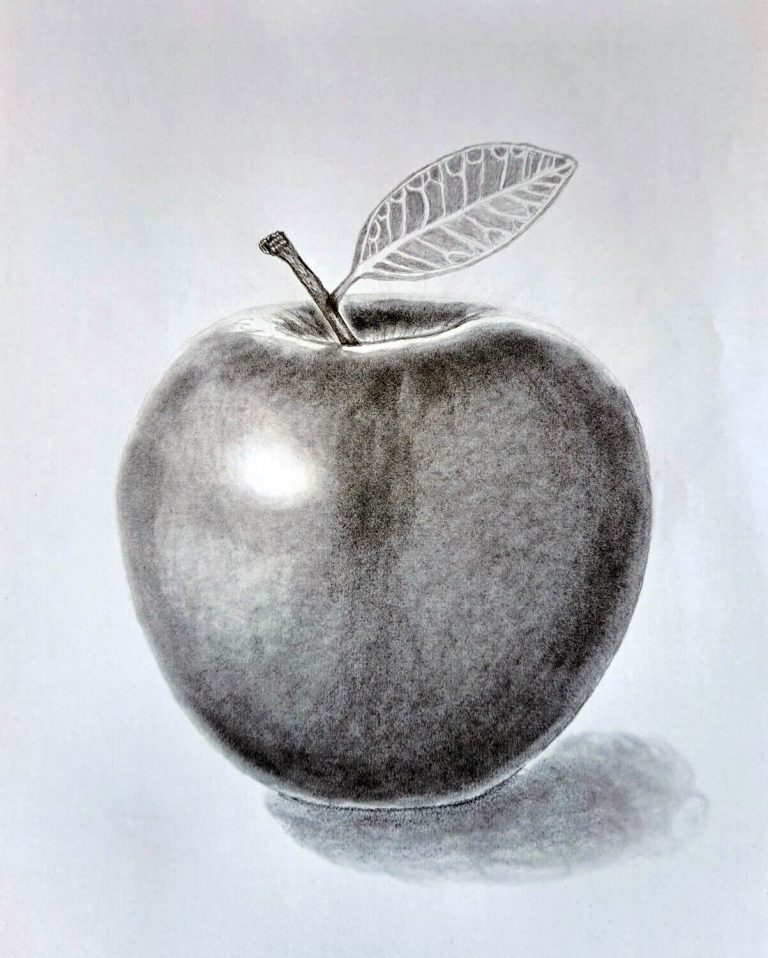 6 Simple Steps on How to Draw an Apple Realistically | Muus Art