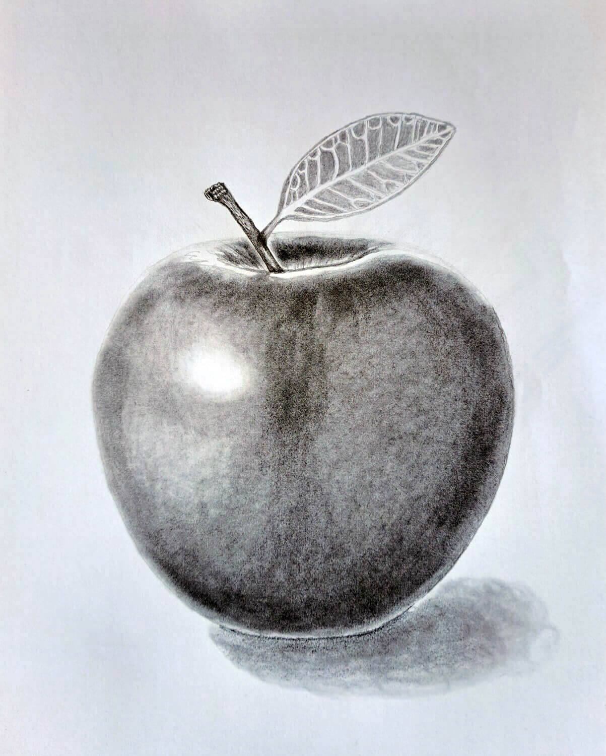 6 Simple Steps on How to Draw an Apple Realistically | Muus Art