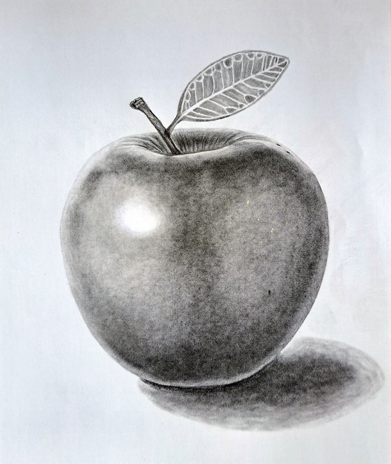 6 Simple Steps on How to Draw an Apple Realistically | Muus Art