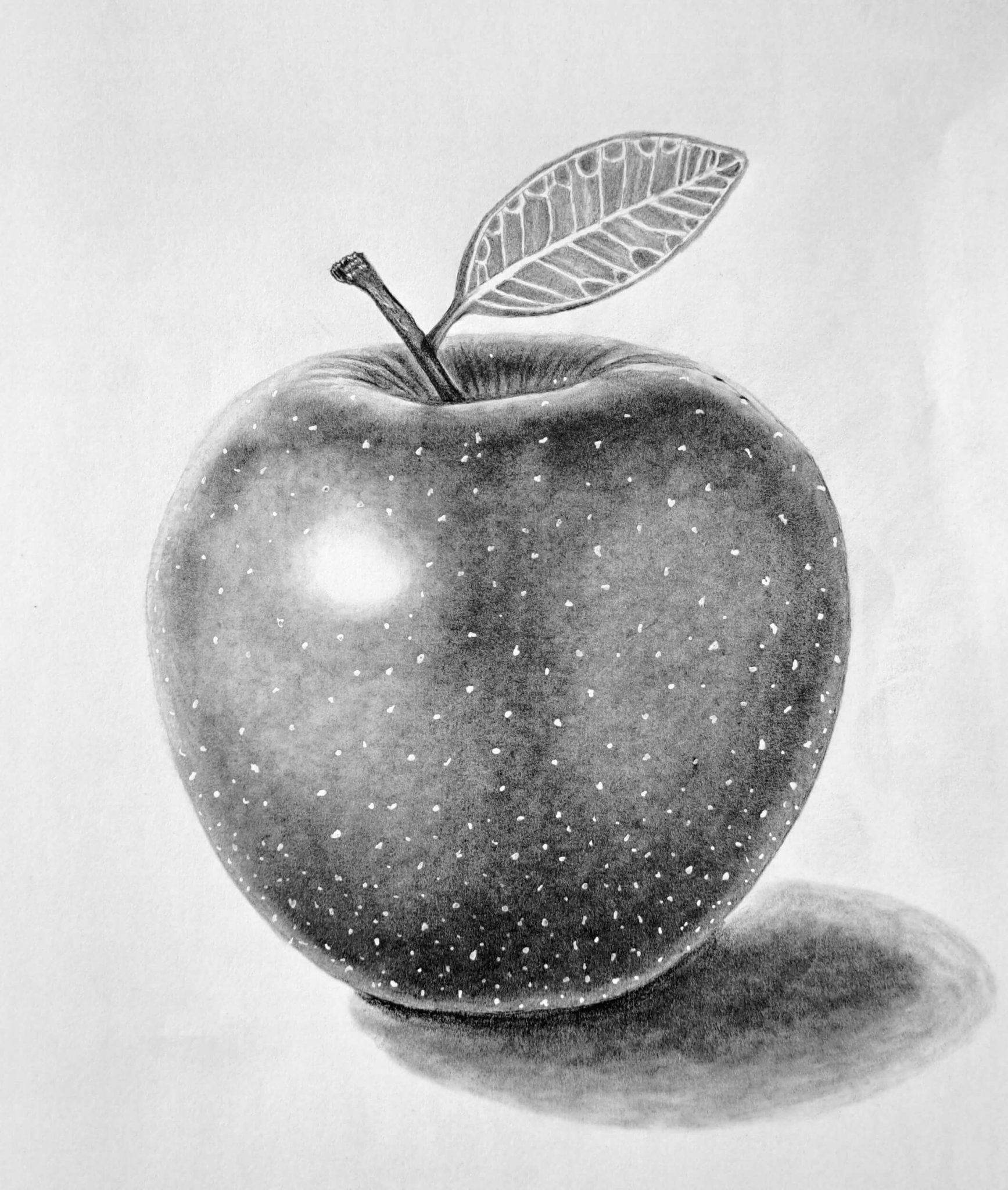 6 Simple Steps on How to Draw an Apple Realistically | Muus Art