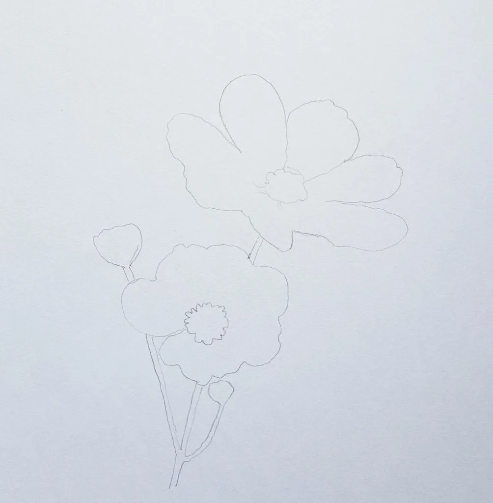 How to Draw Cosmos Flowers Step by Step | Muus Art