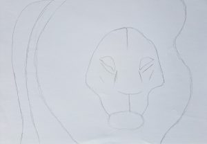 Learn How to Draw a Realistic Lion Step by Step | Muus Art