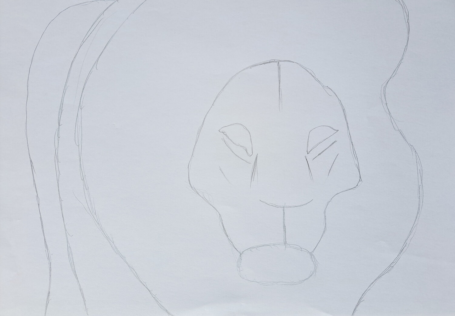 Learn How to Draw a Realistic Lion Step by Step | Muus Art