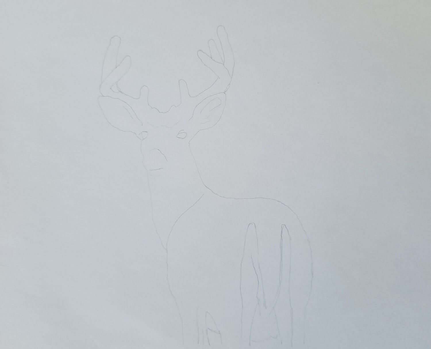 Easy Step-by-Step Tutorial on How to Draw a Realistic Deer | Muus Art