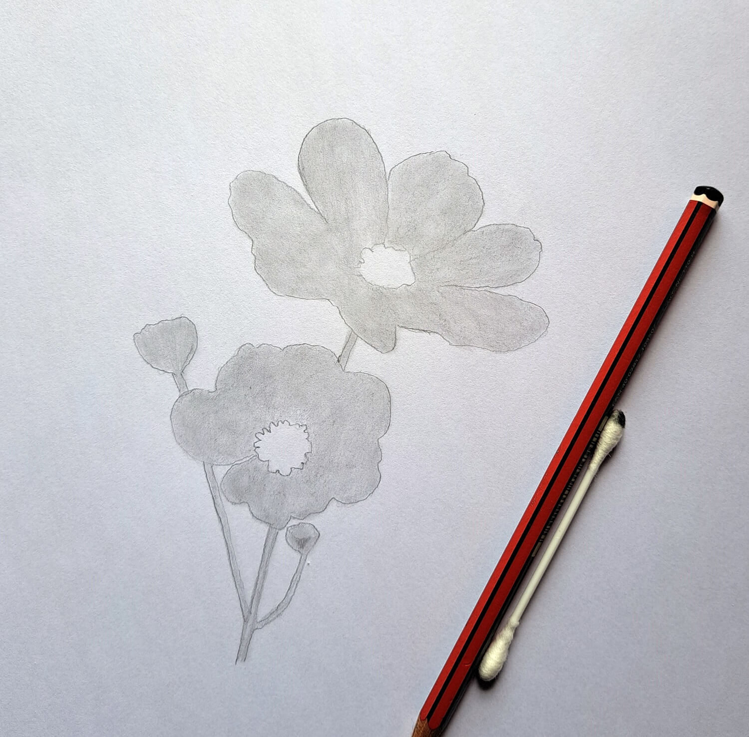 How to Draw Cosmos Flowers Step by Step | Muus Art