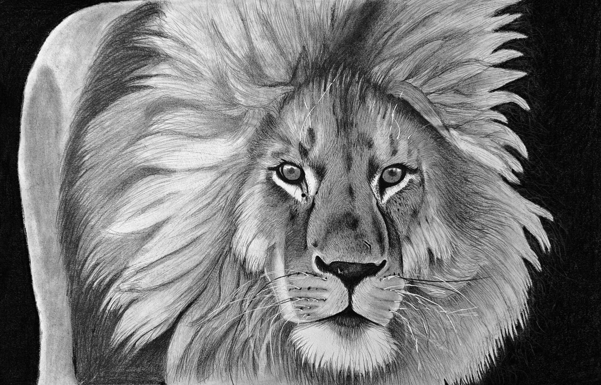 Learn How to Draw a Realistic Lion Step by Step | Muus Art