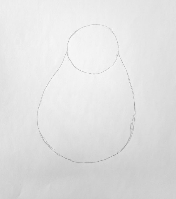Drawing a Realistic Koala – How to Draw a Koala with Pencils | Muus Art
