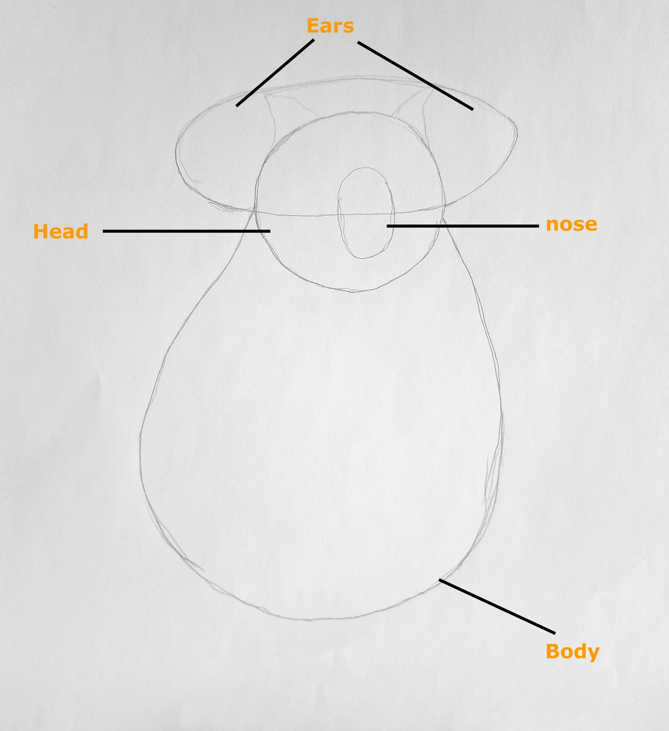 Drawing a Realistic Koala – How to Draw a Koala with Pencils | Muus Art