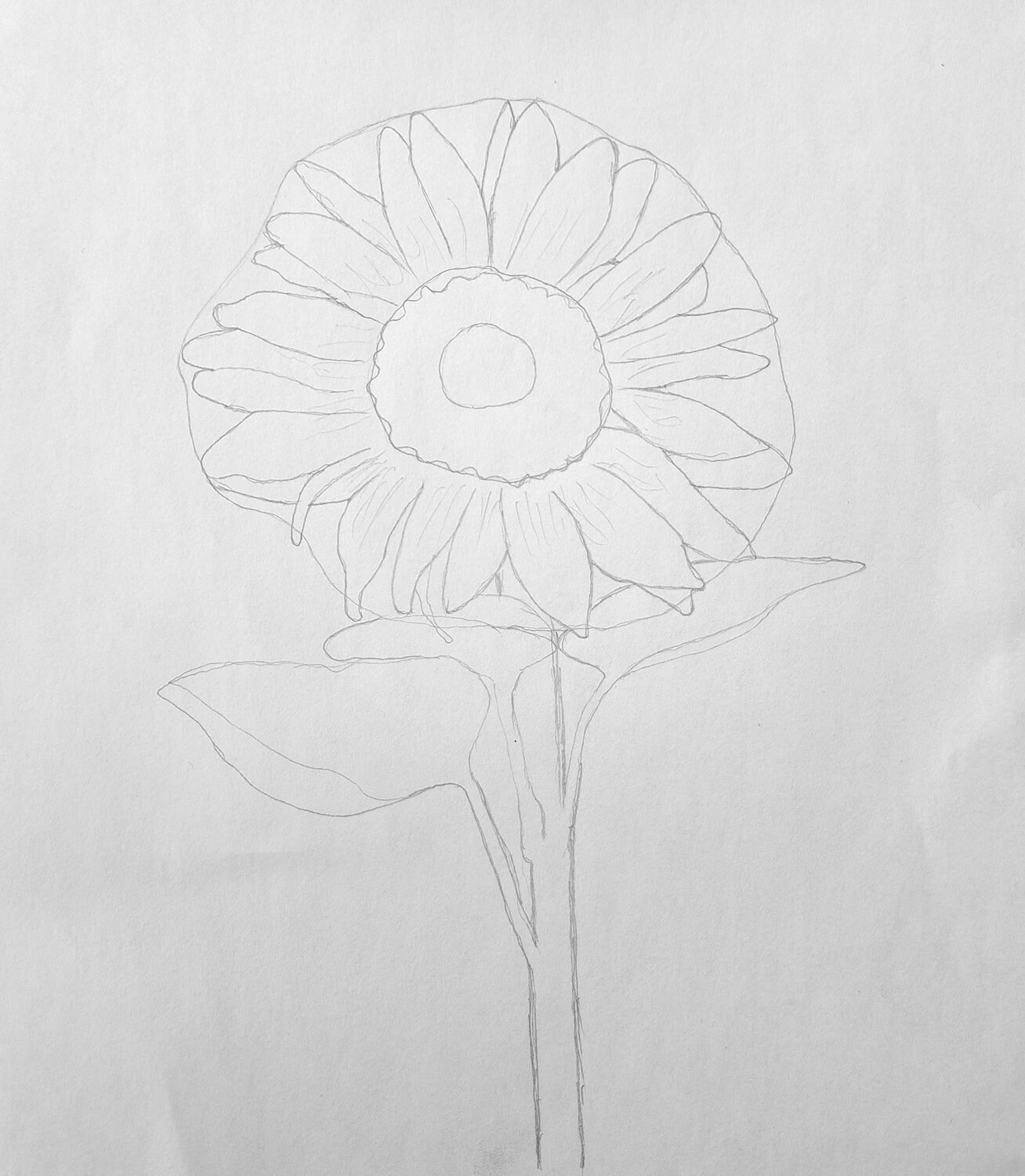 Beginner’s Guide to Drawing Sunflowers Step by Step | Muus Art