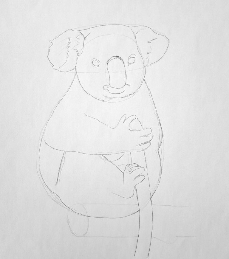 Drawing a Realistic Koala – How to Draw a Koala with Pencils | Muus Art