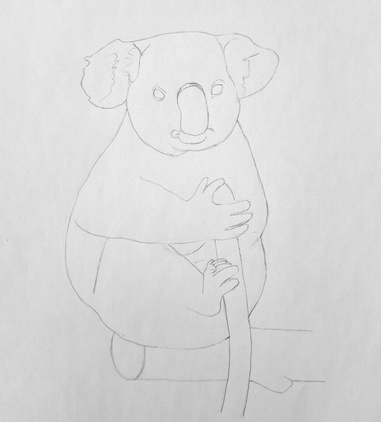 Drawing a Realistic Koala – How to Draw a Koala with Pencils | Muus Art