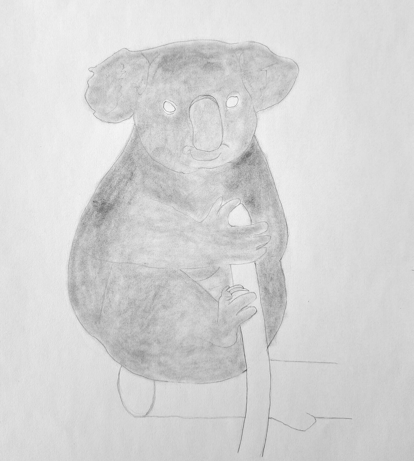 Drawing a Realistic Koala – How to Draw a Koala with Pencils | Muus Art