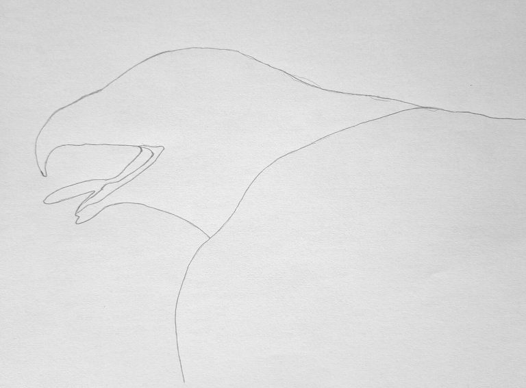 How to Draw a Golden Eagle Head (Selective Focus) | Muus Art