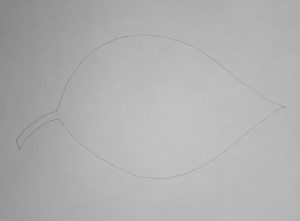 How to Draw a Leaf with Water Droplets | Muus Art