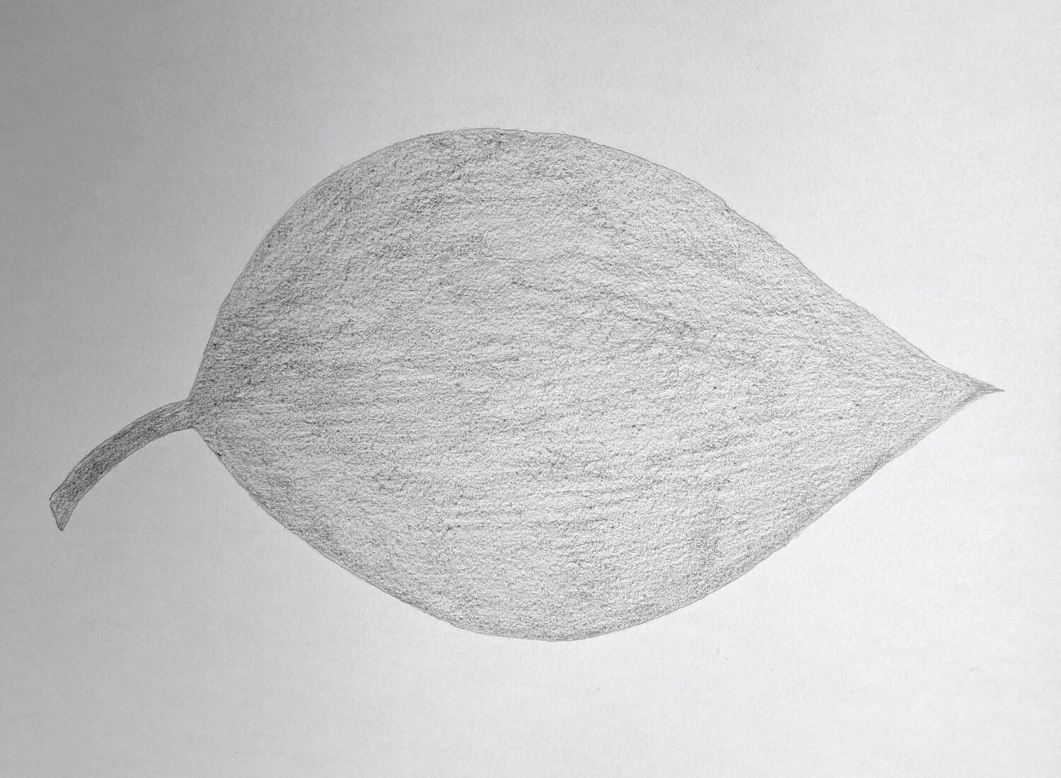 How to Draw a Leaf with Water Droplets | Muus Art