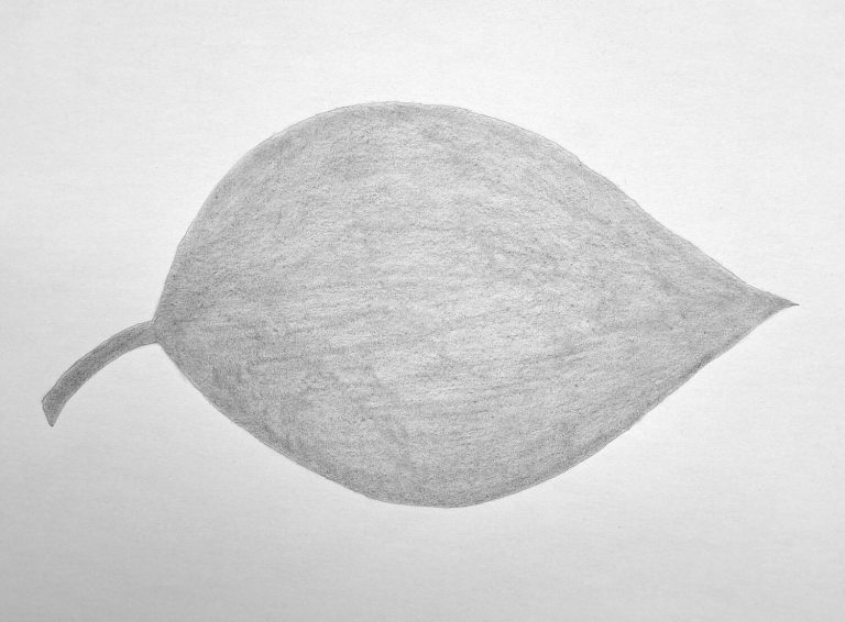 How to Draw a Leaf with Water Droplets | Muus Art