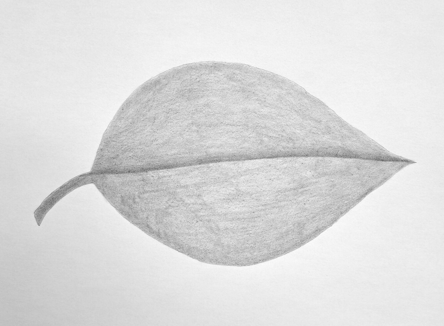 How to Draw a Leaf with Water Droplets | Muus Art