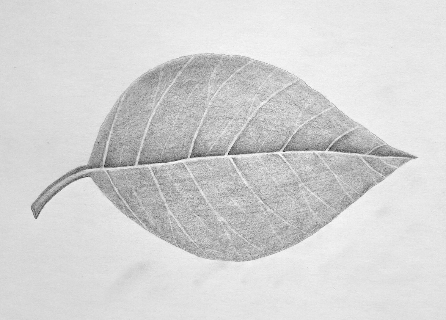 How to Draw a Leaf with Water Droplets | Muus Art