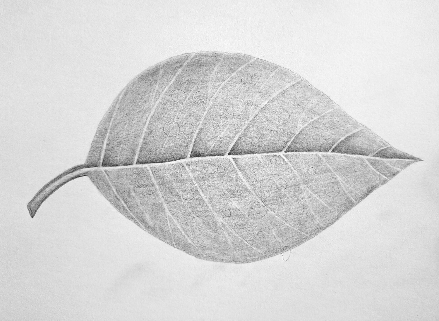 How to Draw a Leaf with Water Droplets | Muus Art