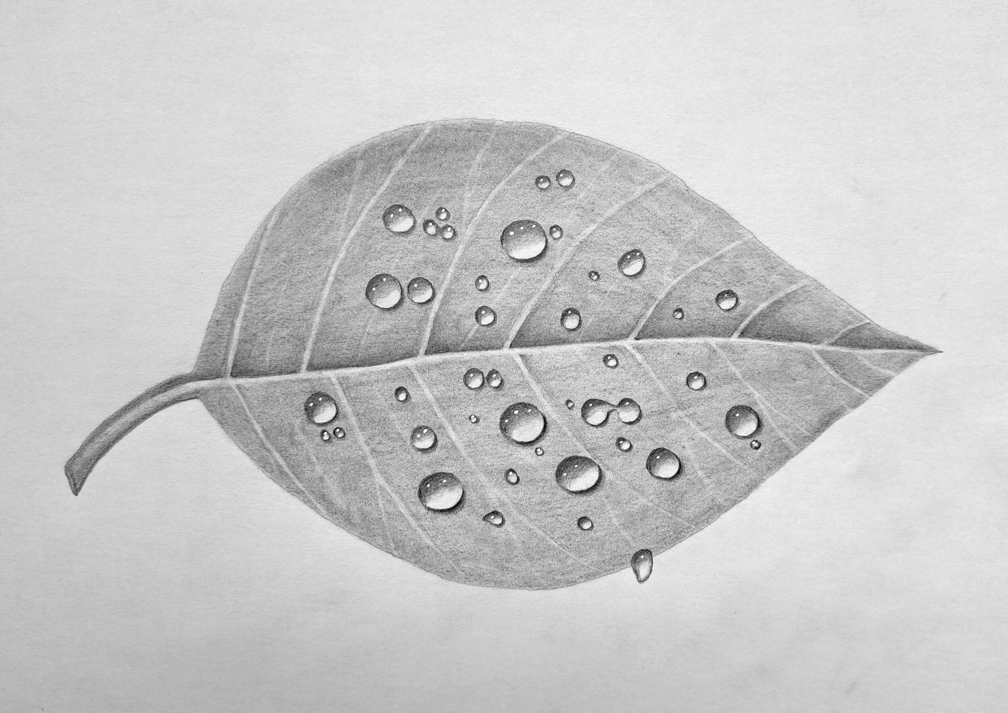 How to Draw a Leaf with Water Droplets | Muus Art