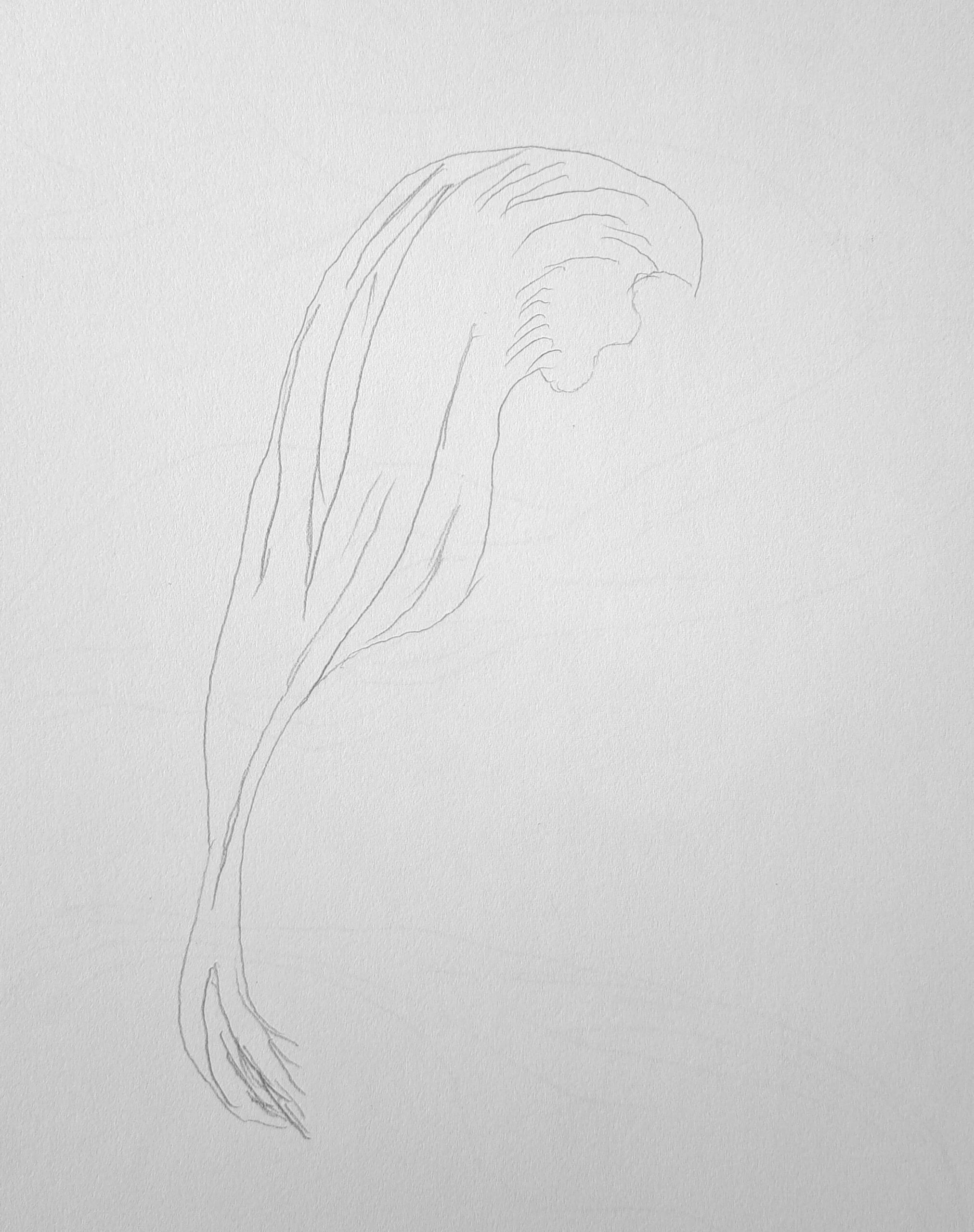 A Step by Step Guide to Drawing Realistic Hair (Graphite and Colored ...