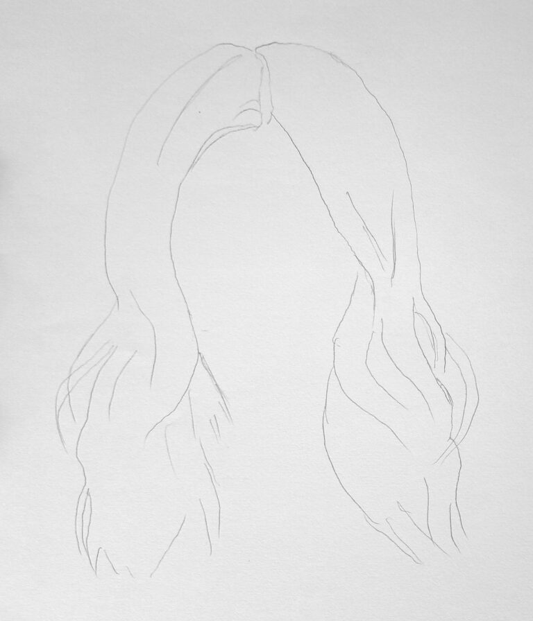 A Step by Step Guide to Drawing Realistic Hair (Graphite and Colored ...