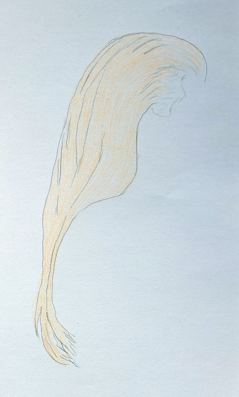 A Step by Step Guide to Drawing Realistic Hair (Graphite and Colored ...