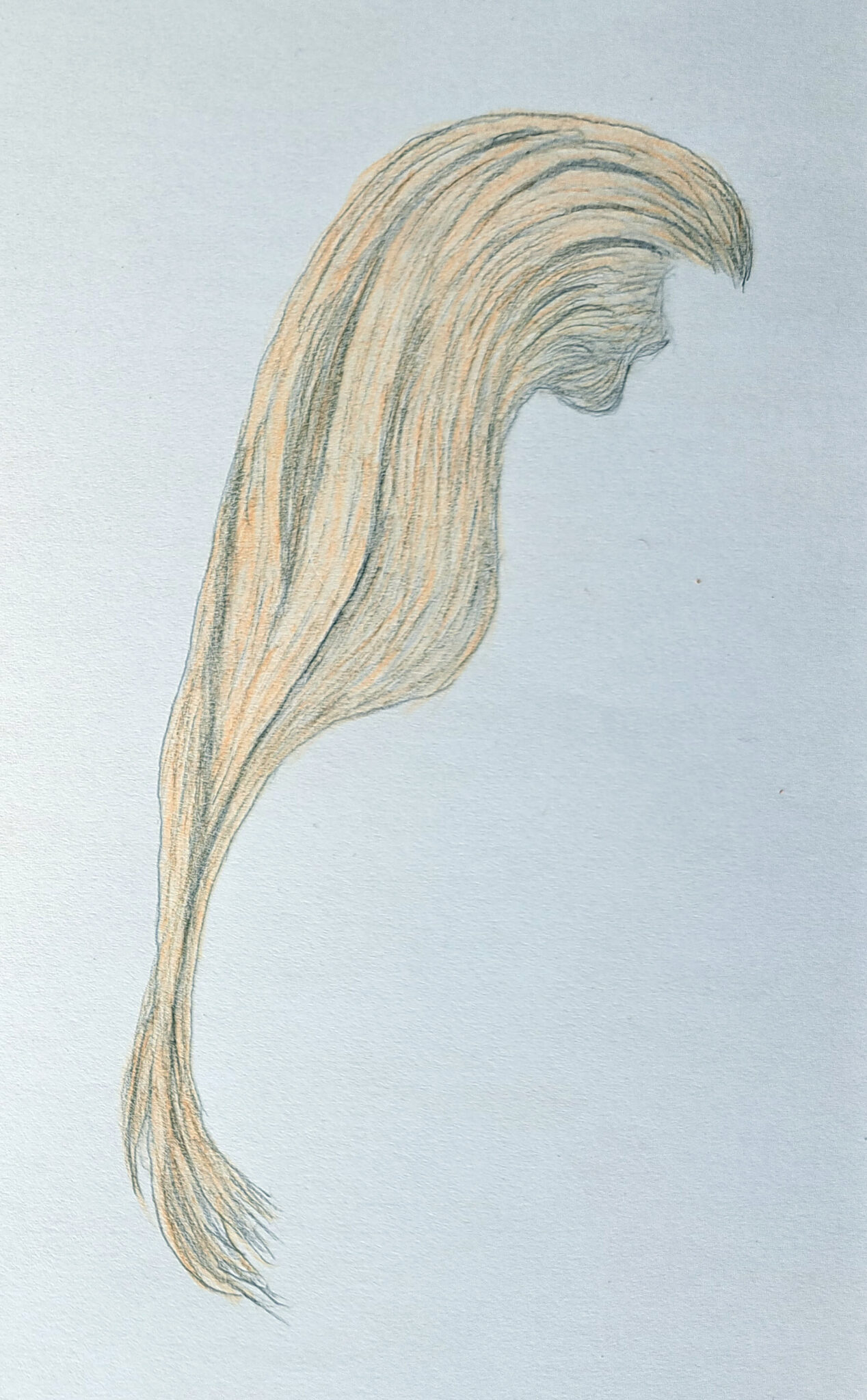 A Step by Step Guide to Drawing Realistic Hair (Graphite and Colored ...