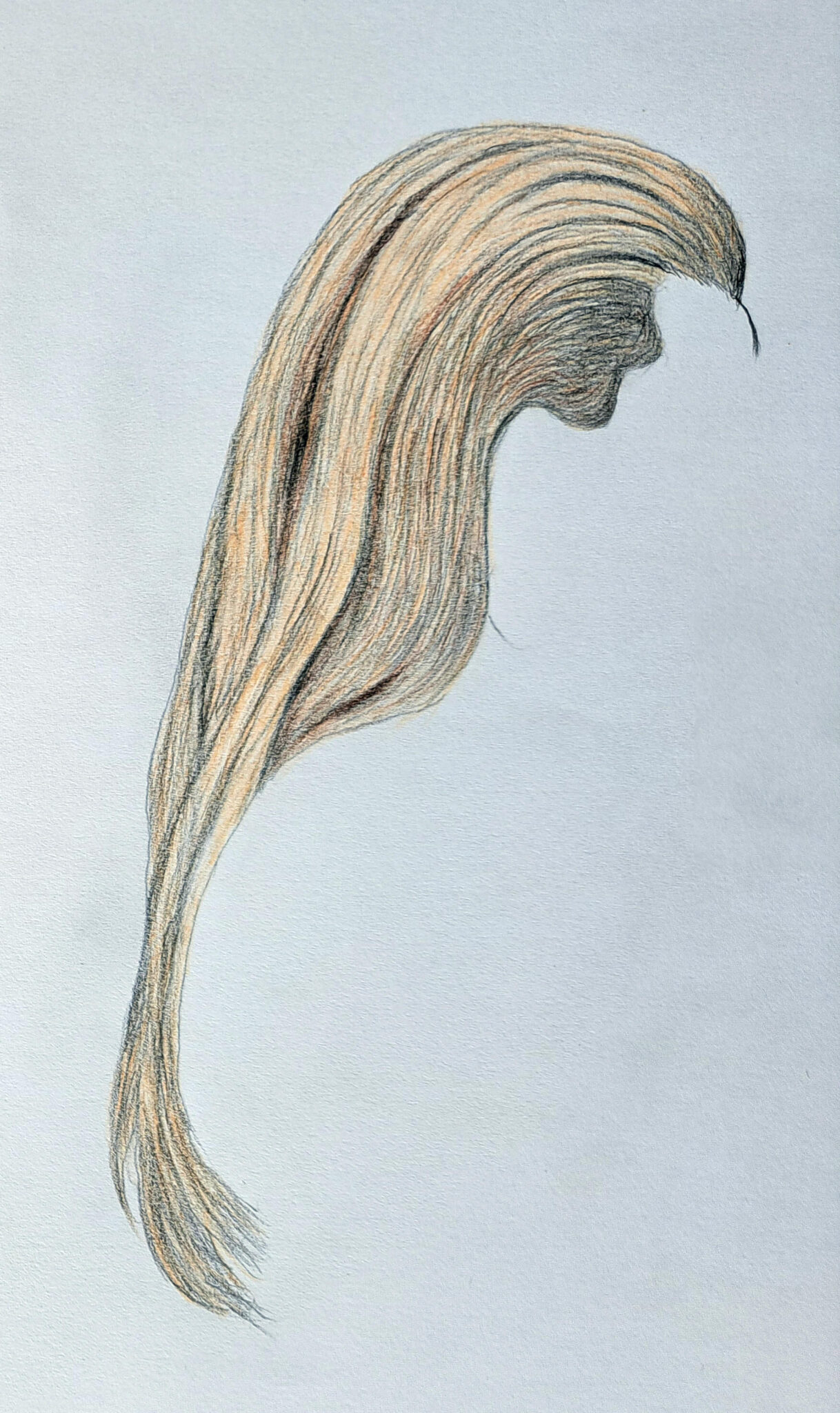 A Step by Step Guide to Drawing Realistic Hair (Graphite and Colored ...