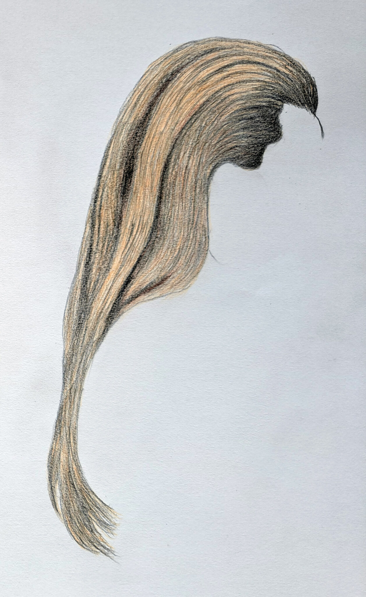 A Step by Step Guide to Drawing Realistic Hair (Graphite and Colored ...